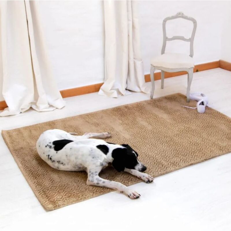 Gold Velvet Rug - Elena - Za Za Homes