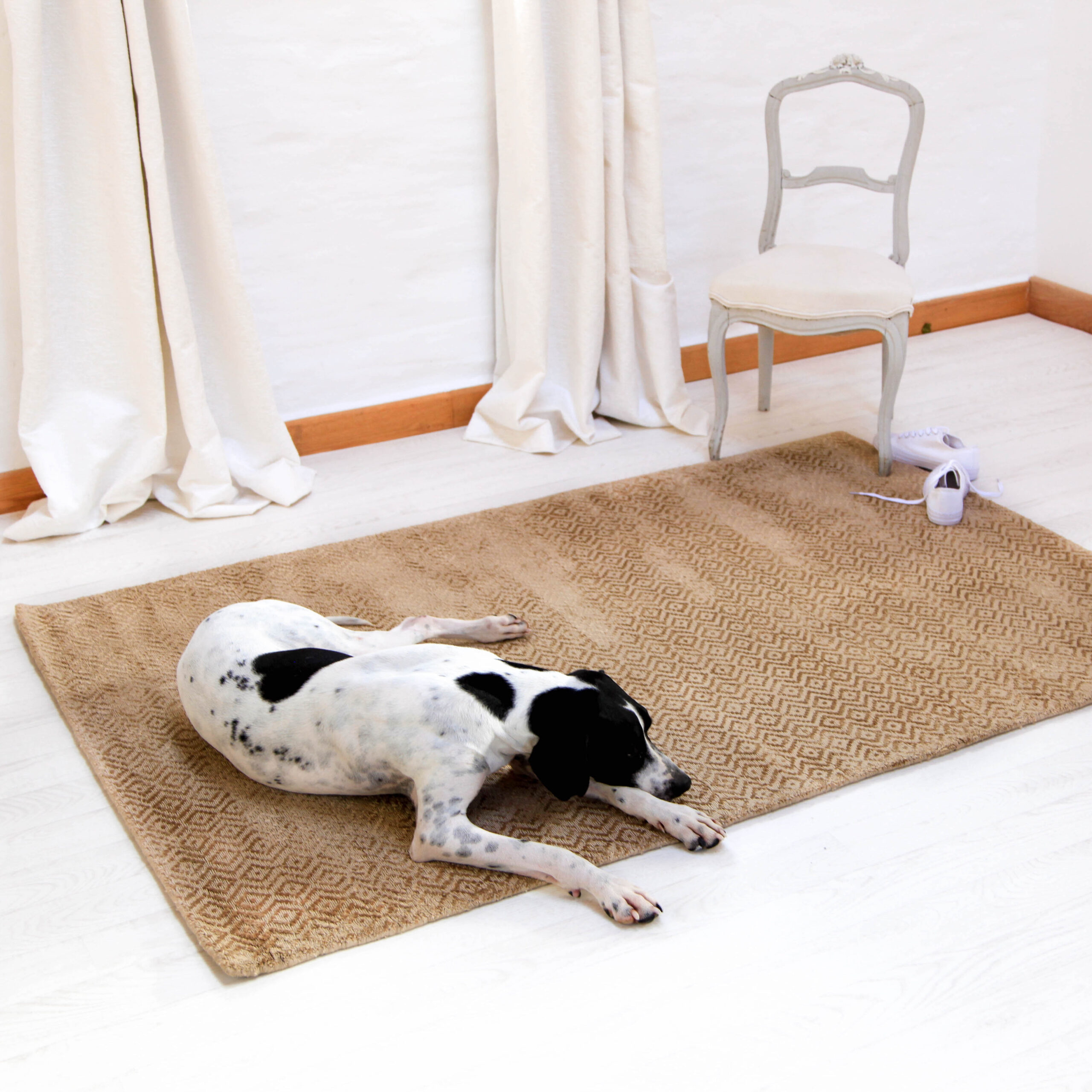 Crushed Velvet Rug Golden - Elena - ZaZa Homes