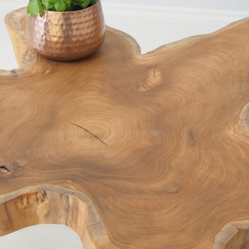 Wood Table Tree | Wood Slice Coffee Table - Za Za Homes